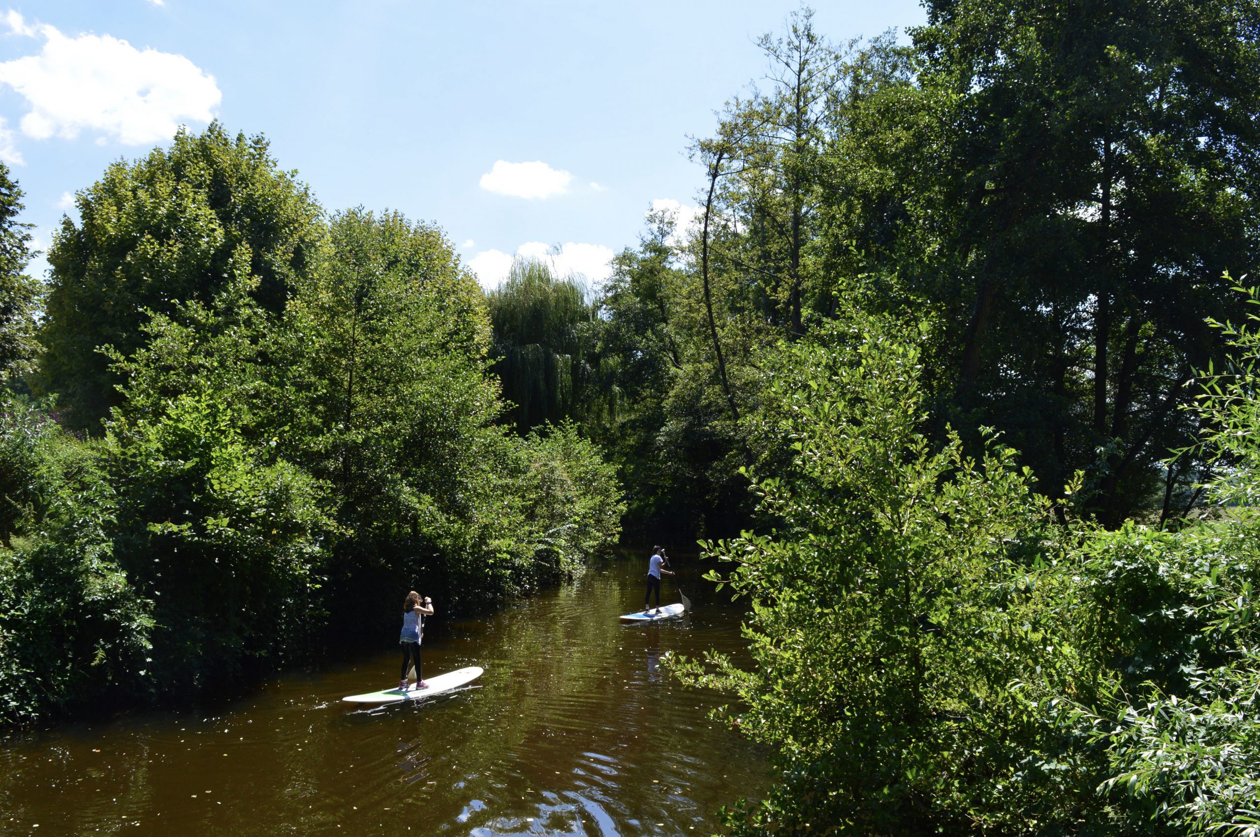 Camping | Île de la Ronde à St pourçain sur sioule